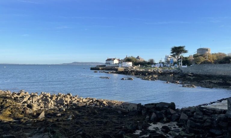 The Forty Foot Dublin: Discover the City's Iconic Swim Spot